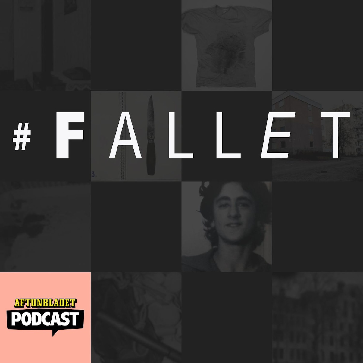 Hur ska Reformisterna påverka S, Annie Ross? – Aftonbladet podcast