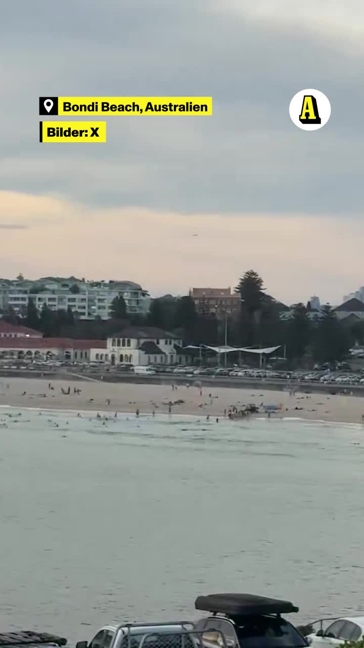 Naveed Akram pekas ut som en av terroristerna på Bondi Beach