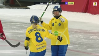Bandy – läs senaste nytt