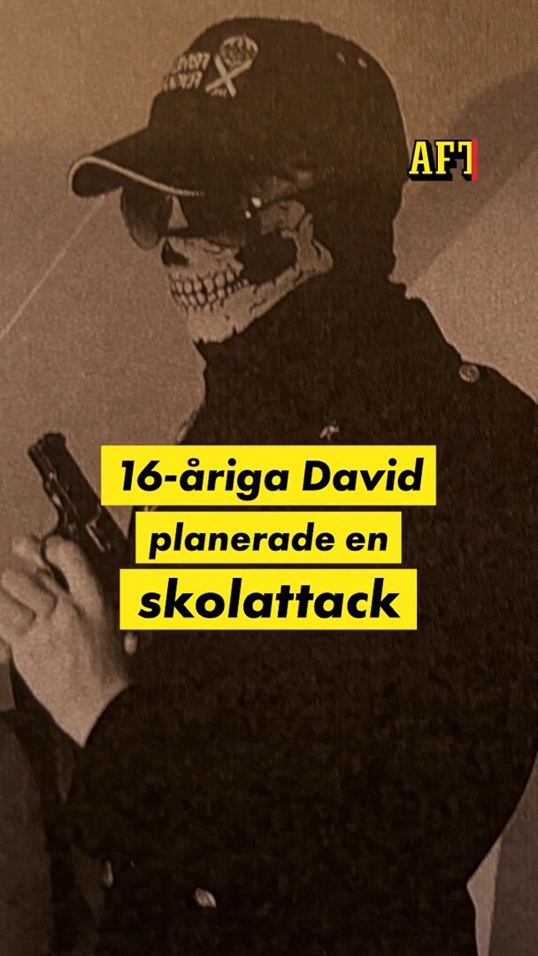 David, 16 planerade skolattack: "Fantiserade om att hugga dem ...