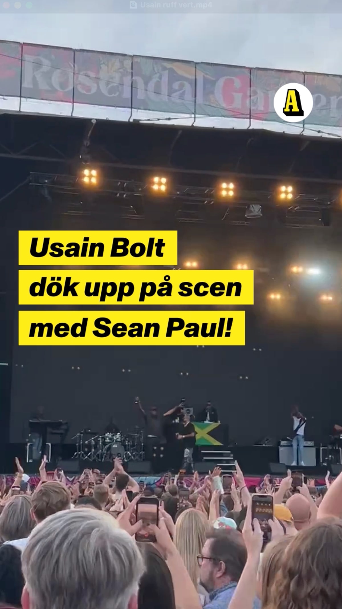 Sean Paul tog upp Usain Bolt på scen på Rosendal garden party