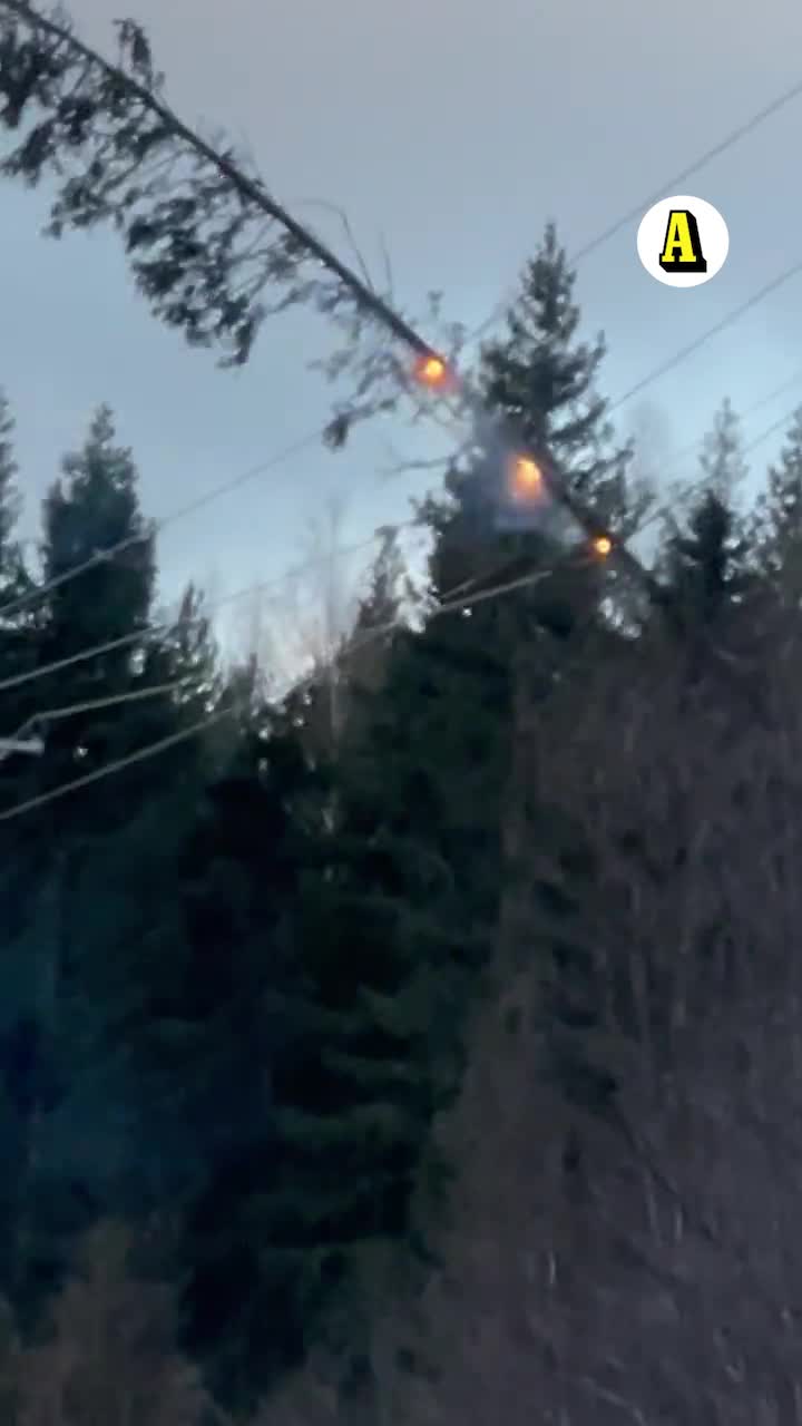 Träd över elledning - Aftonbladet TV