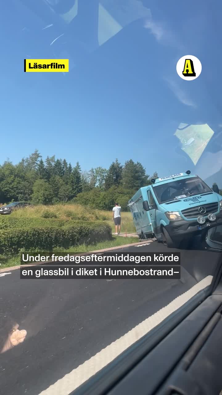 Reprissommaren: Glassbilar, badbråk och vilda djur
