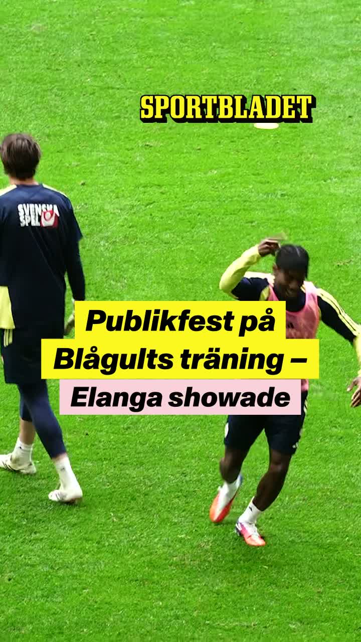 Landslagsläkaren om Dejan Kulusevskis skada