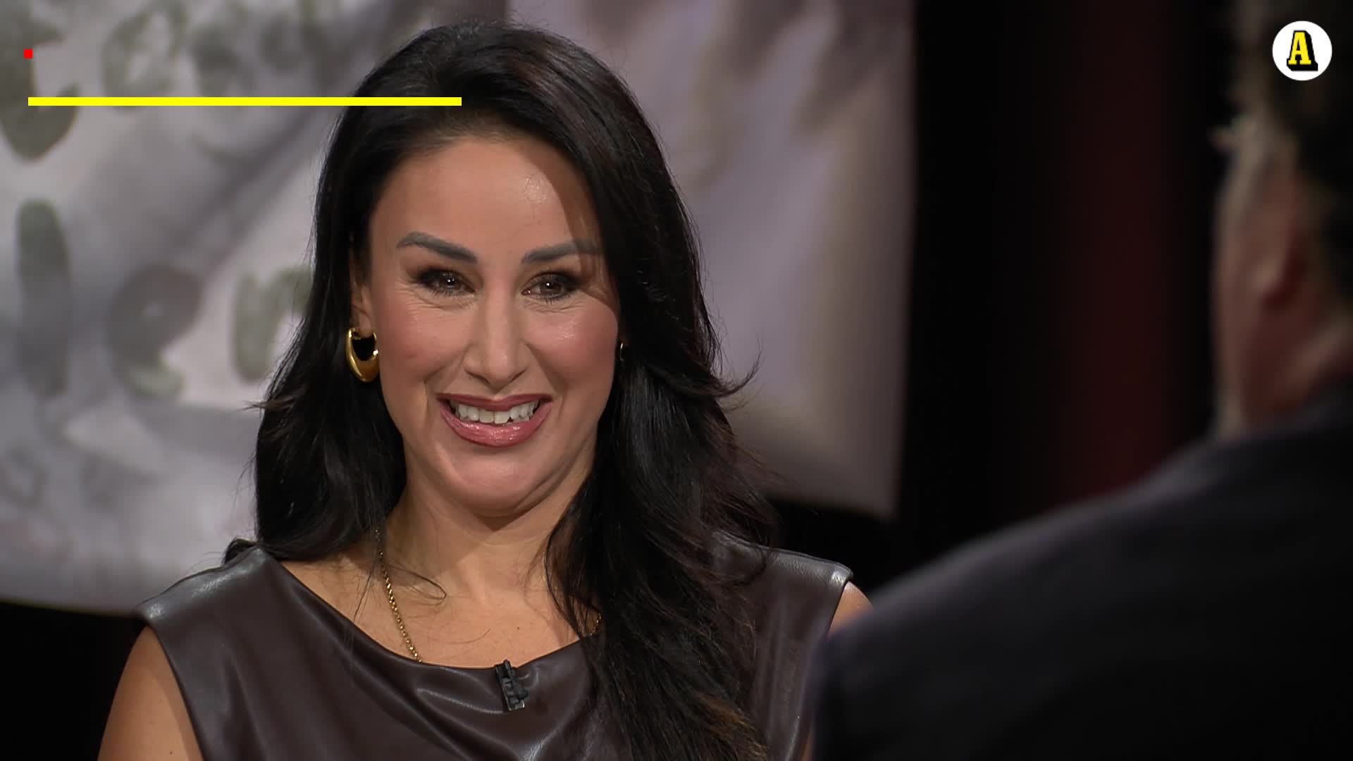 Kändisarna i ordbråk om alkohol i Skavlan: ”Detta är så hemskt”