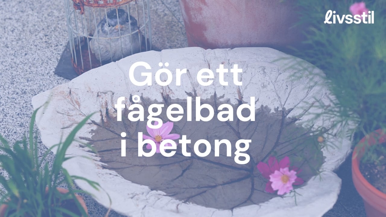 Så gjuter du fågelbad i betong av rabarberblad