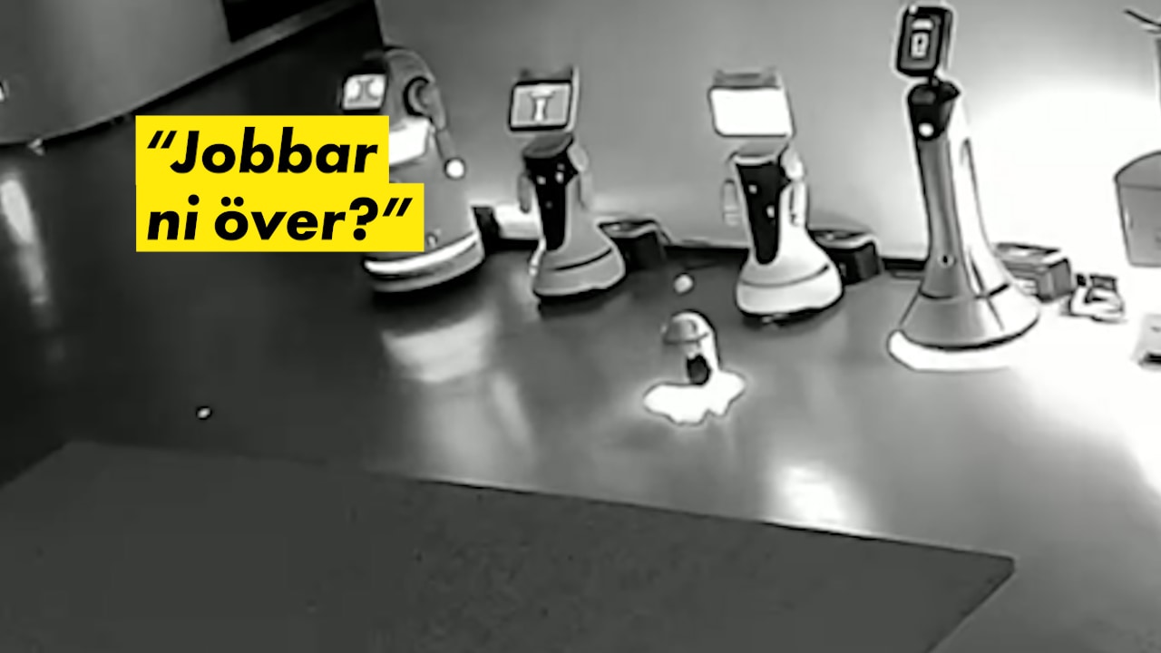 Roboten Erbai får andra robotar att sluta jobba - Aftonbladet TV
