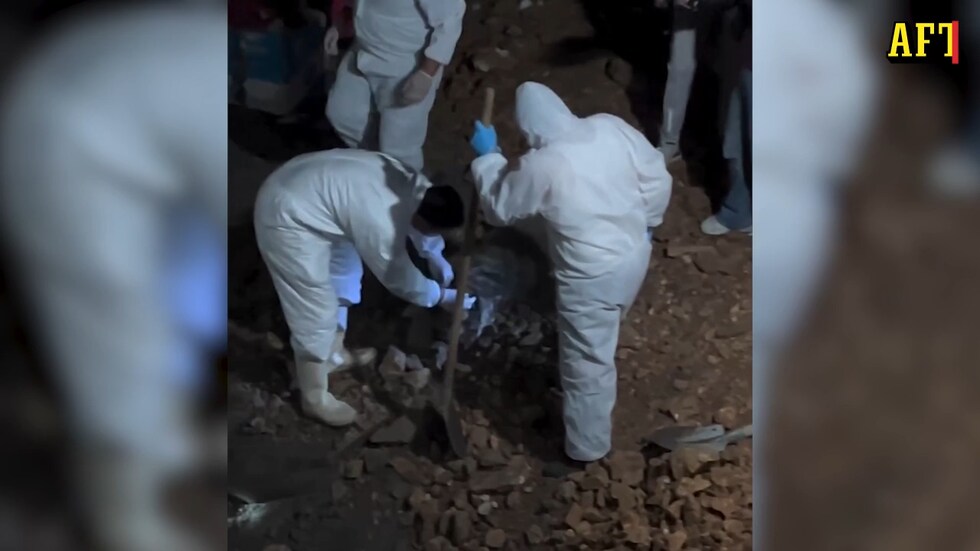 Efter Turkiets nya lag – massgrav med hundar: ”En paniklösning ...