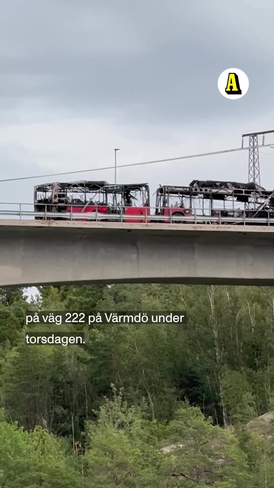 Uppgifter: Körde i hög hastighet före dödskraschen