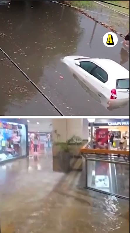 Stopp i jultrafiken - Senaste nytt – snabba nyheter från Aftonbladet