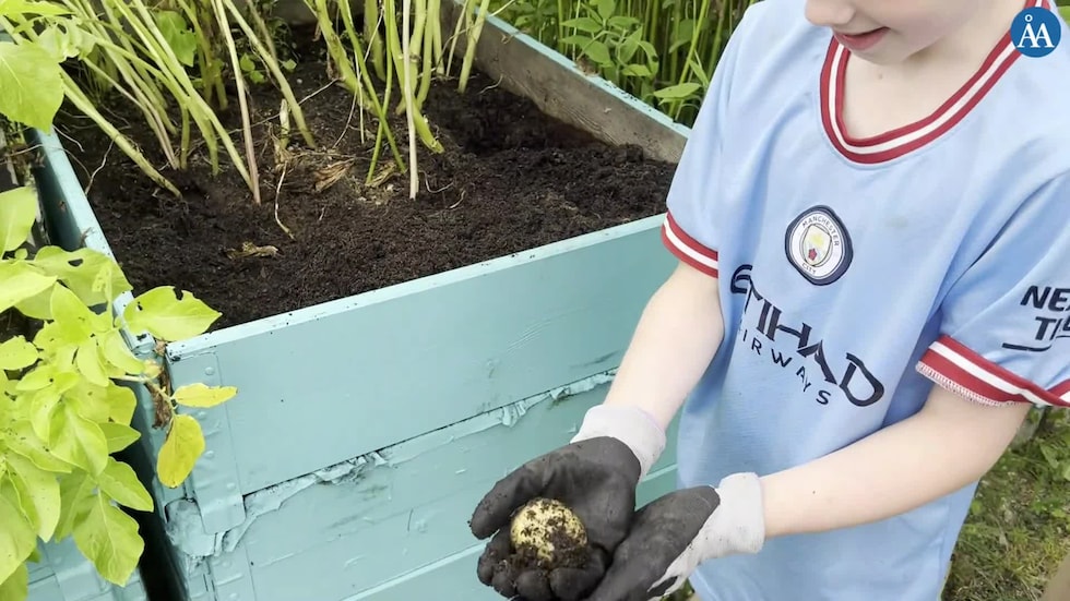 Se video: Bli med ut i Guros hage - smp.no