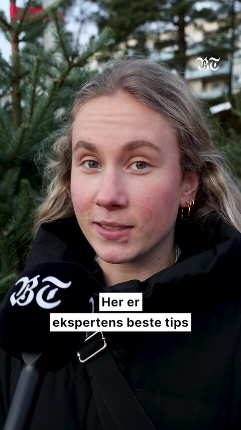 Ekte juletre? Her er ekspertens beste tips - Bergens Tidende