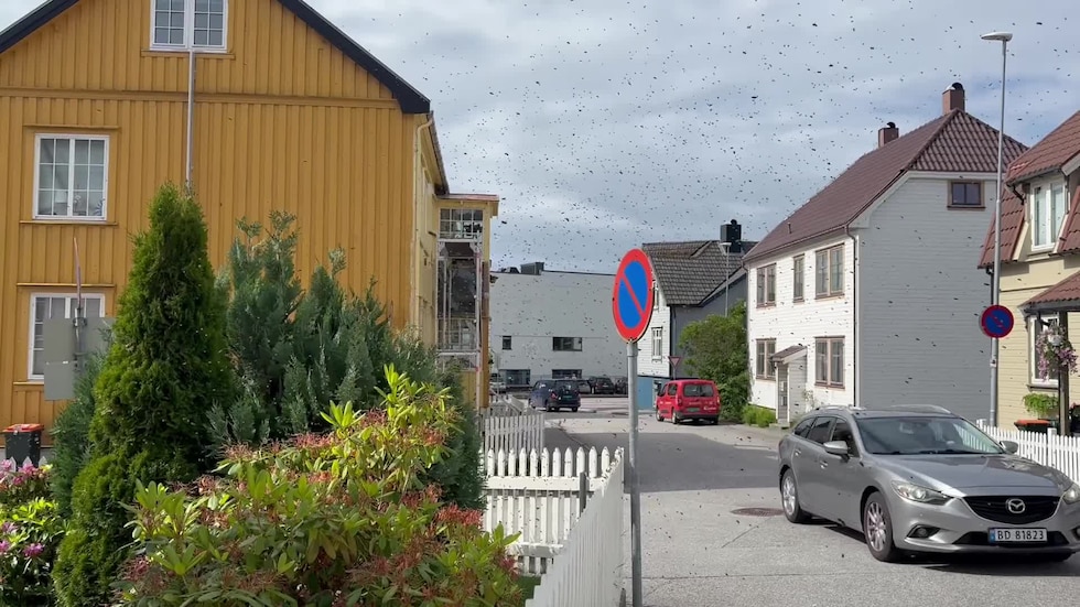 Mistet to venner på Trango – snart kommer filmen