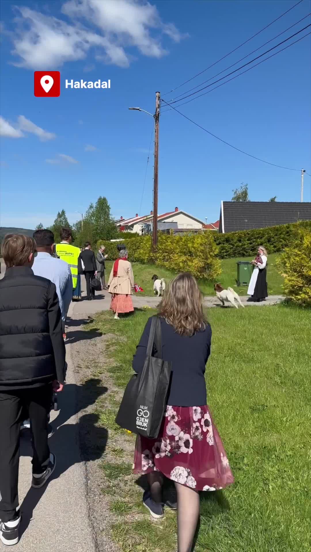 17.mai: Her blir dyrene med i toget - VGTV