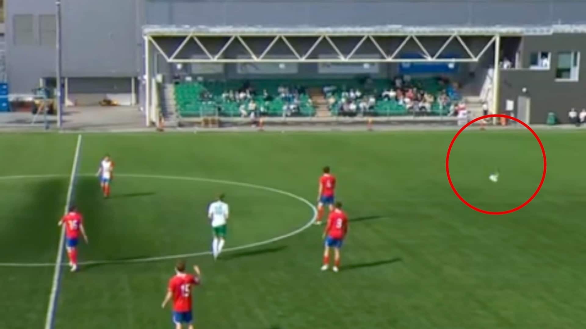 En måke stoppet kampen mellom Træff/FuVo - VGTV